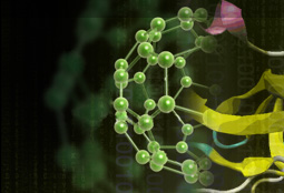 Homepage for Canan ATILGAN